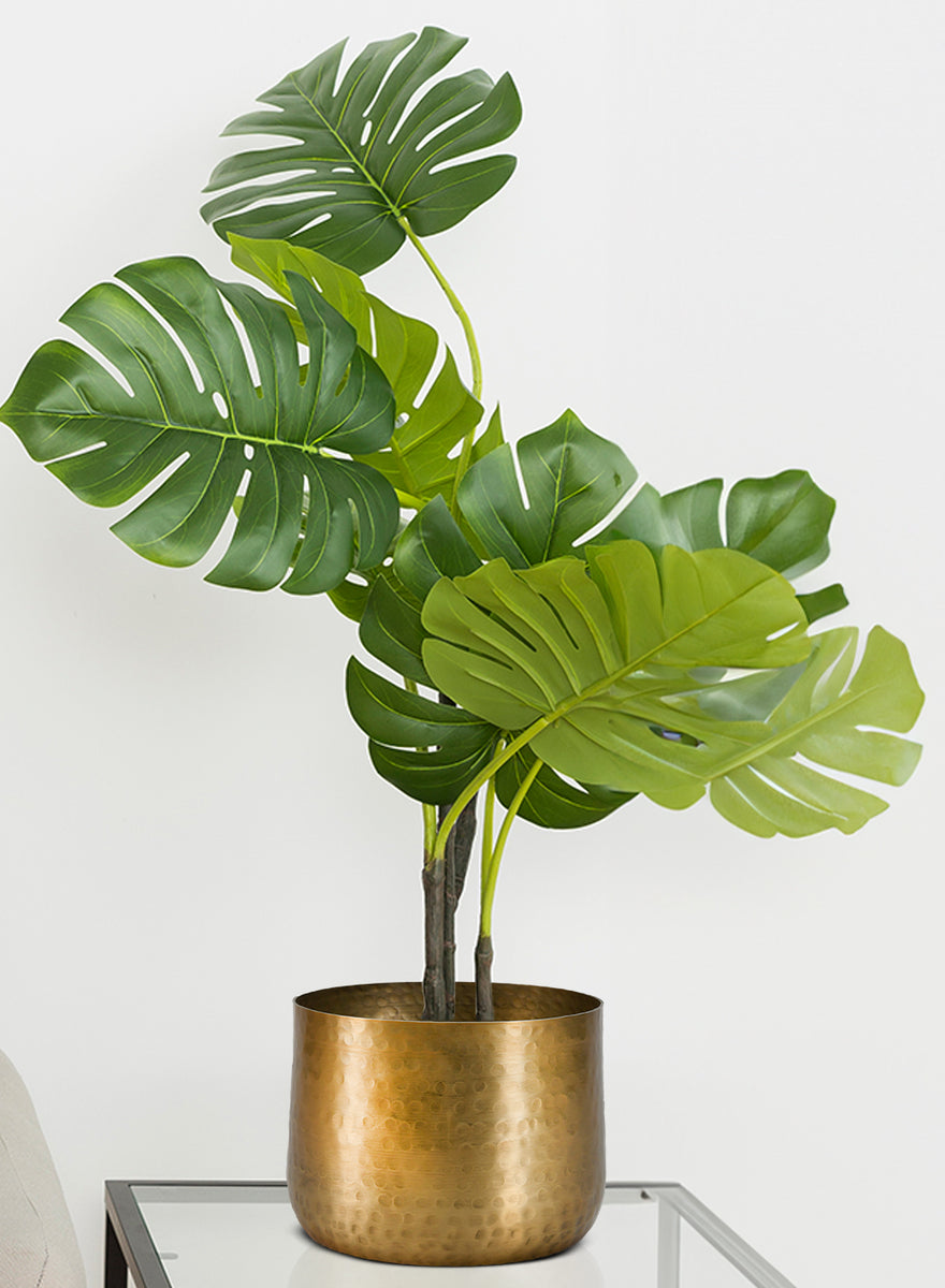 Antique Gold Hammered Pots | Pots | Serene Spaces Living