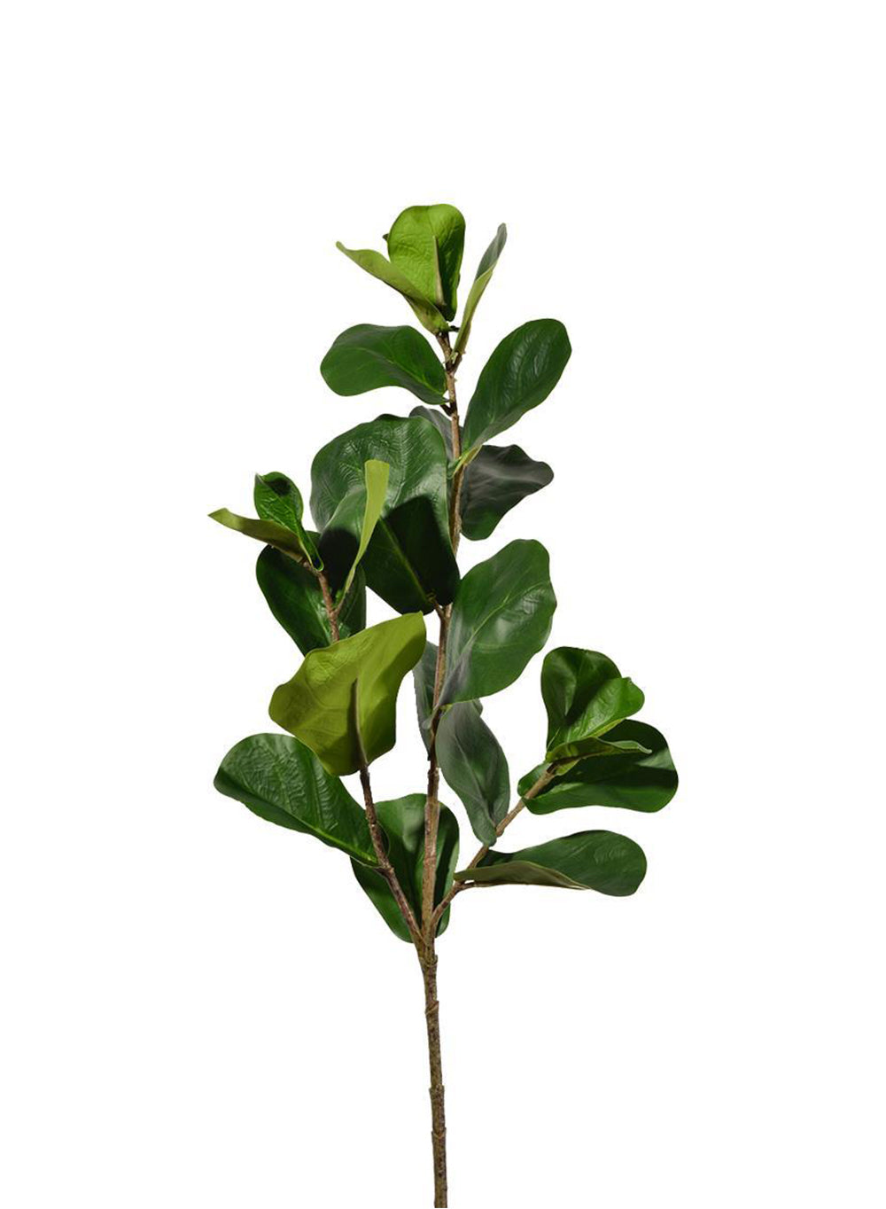 Fiddle Leaf Fig Spray | Silk Flowers | Serene Spaces Living