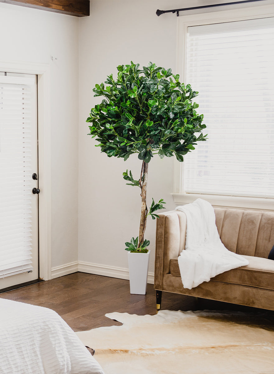 Artificial Wild Coffee Tree in Classic Black Pot | Faux Trees \ Serene ...