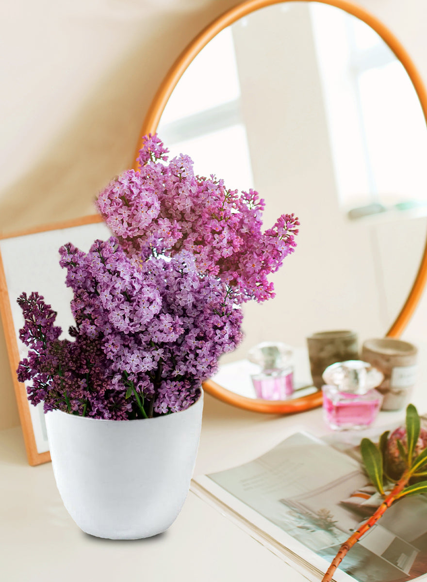 Metal Cachepot | Planter | Serene Spaces Living