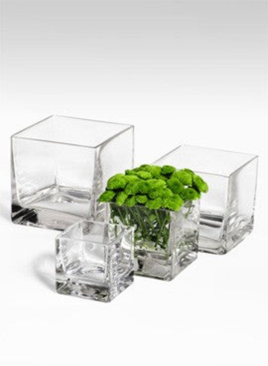 Glass Cube Vase, in 5 Sizes – Serene Spaces Living