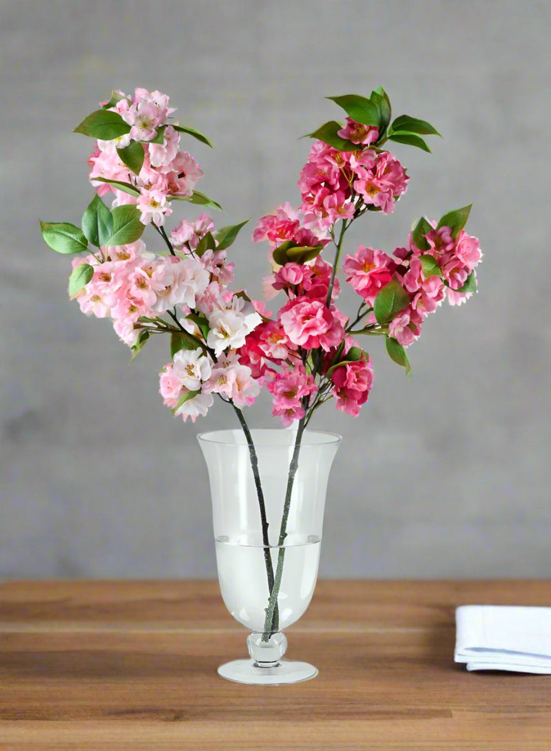 Beautiful Vases - Glass and Ceramic